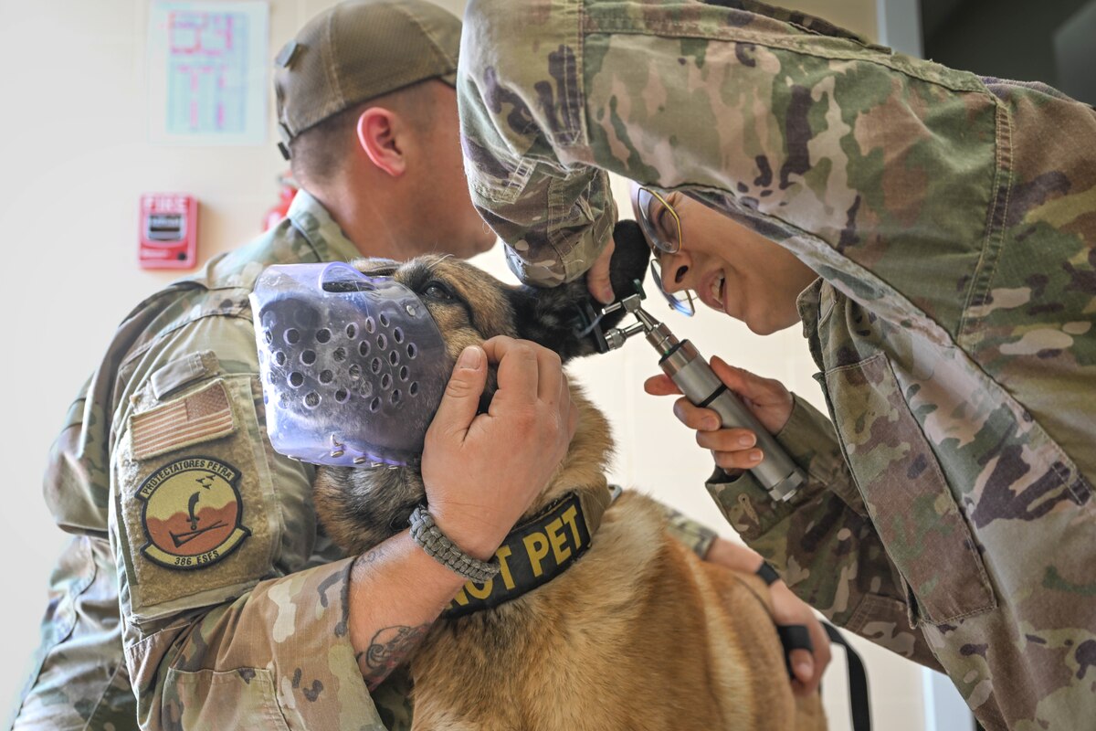 More than the average veterinarian: U.S. Army vets ensure safety and ...