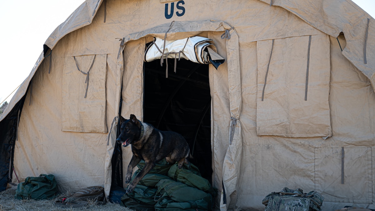 Security Forces Squadron holds a three-day Field Training Exercise ...