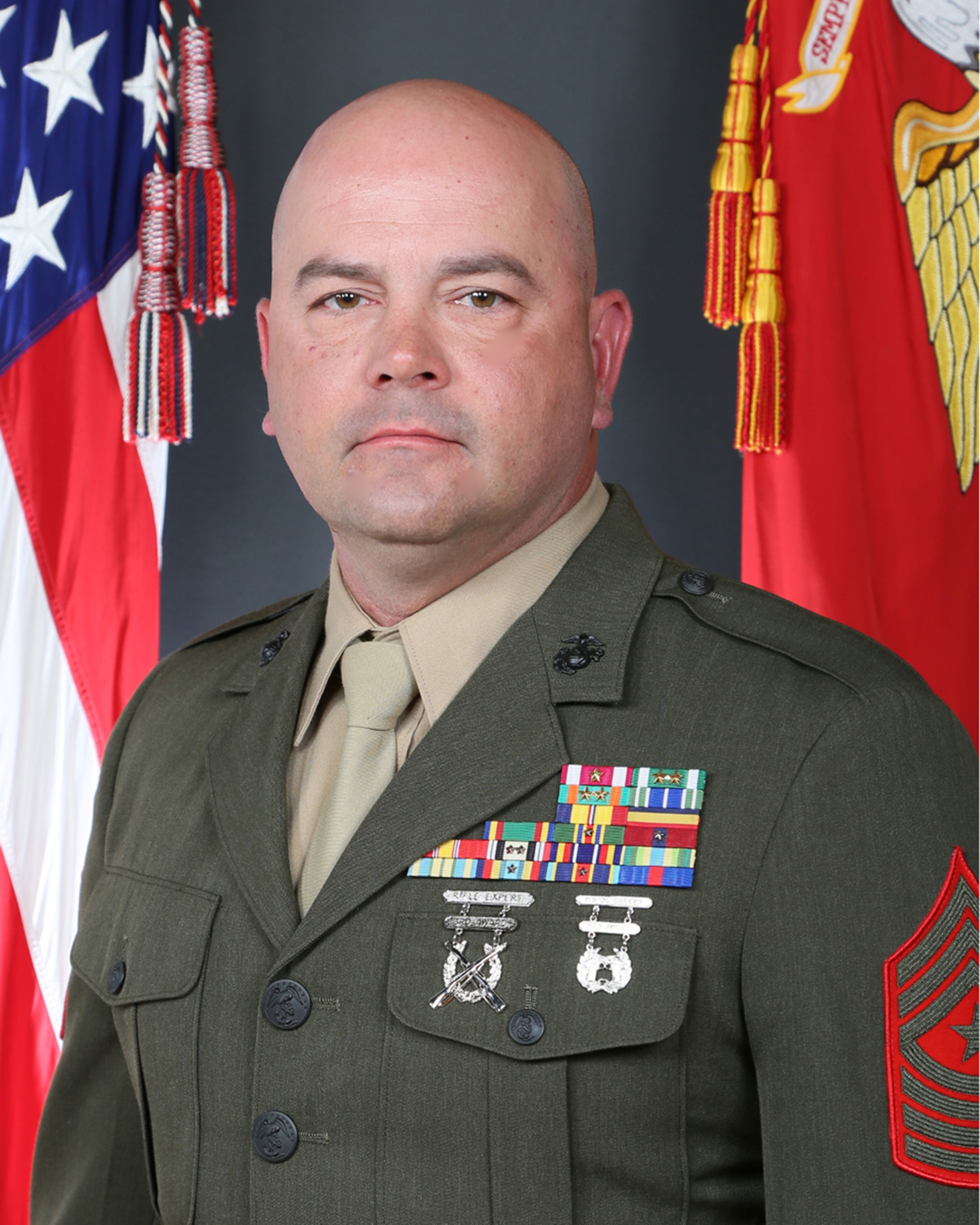Sergeant Major Jeffrey L. Palmer > 2nd Marine Aircraft Wing > Command Biography