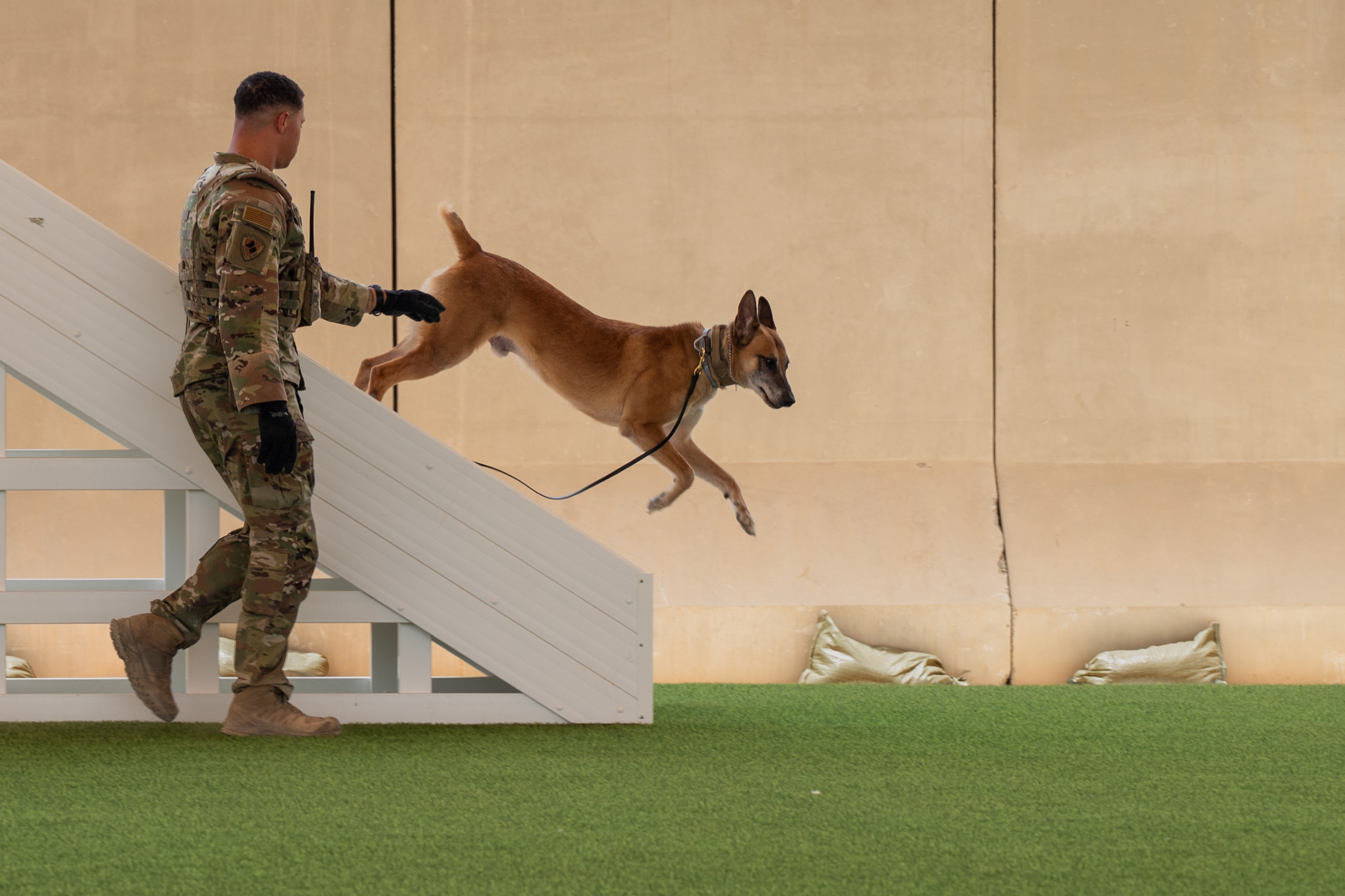 Police Week 2025: 378th ESFS Military Working Dogs > U.S. Air Forces ...