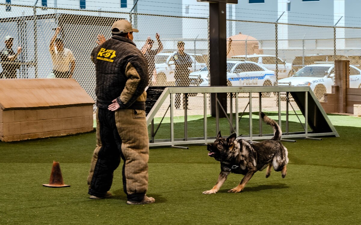 2025 Police Week K-9 Comp with neighboring counties at Luke AFB > 505th ...