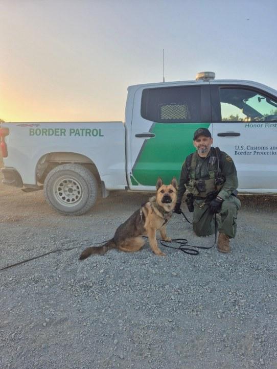 Border Patrol K-9 flown to safety after rattlesnake bite in Otay ...