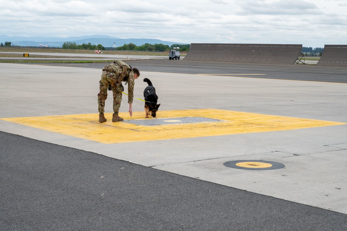 Team Fairchild showcases readiness during NSAV exercise > Fairchild Air ...
