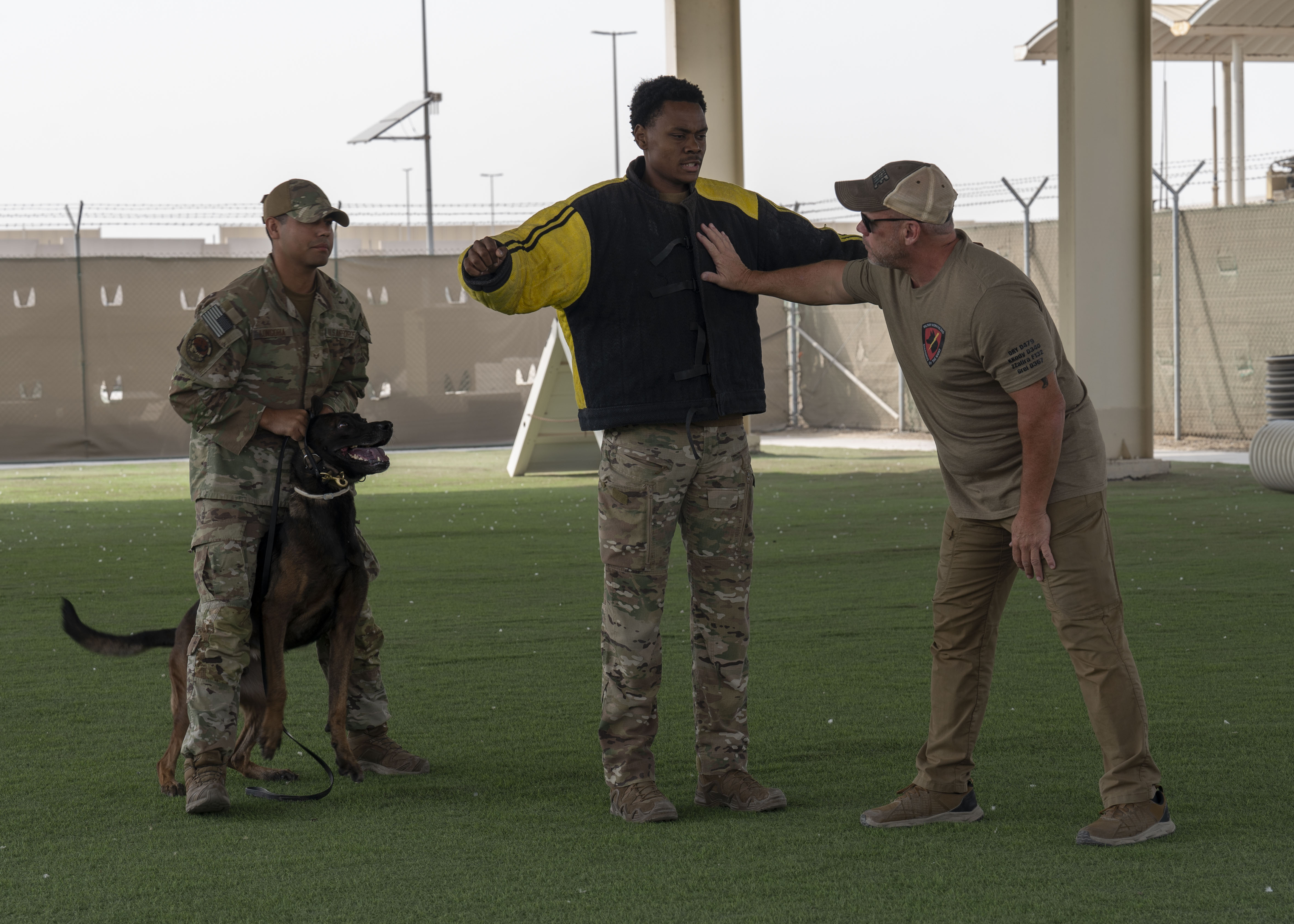 Military working dogs take on EOD > U.S. Air Forces Central > 380AEW ...
