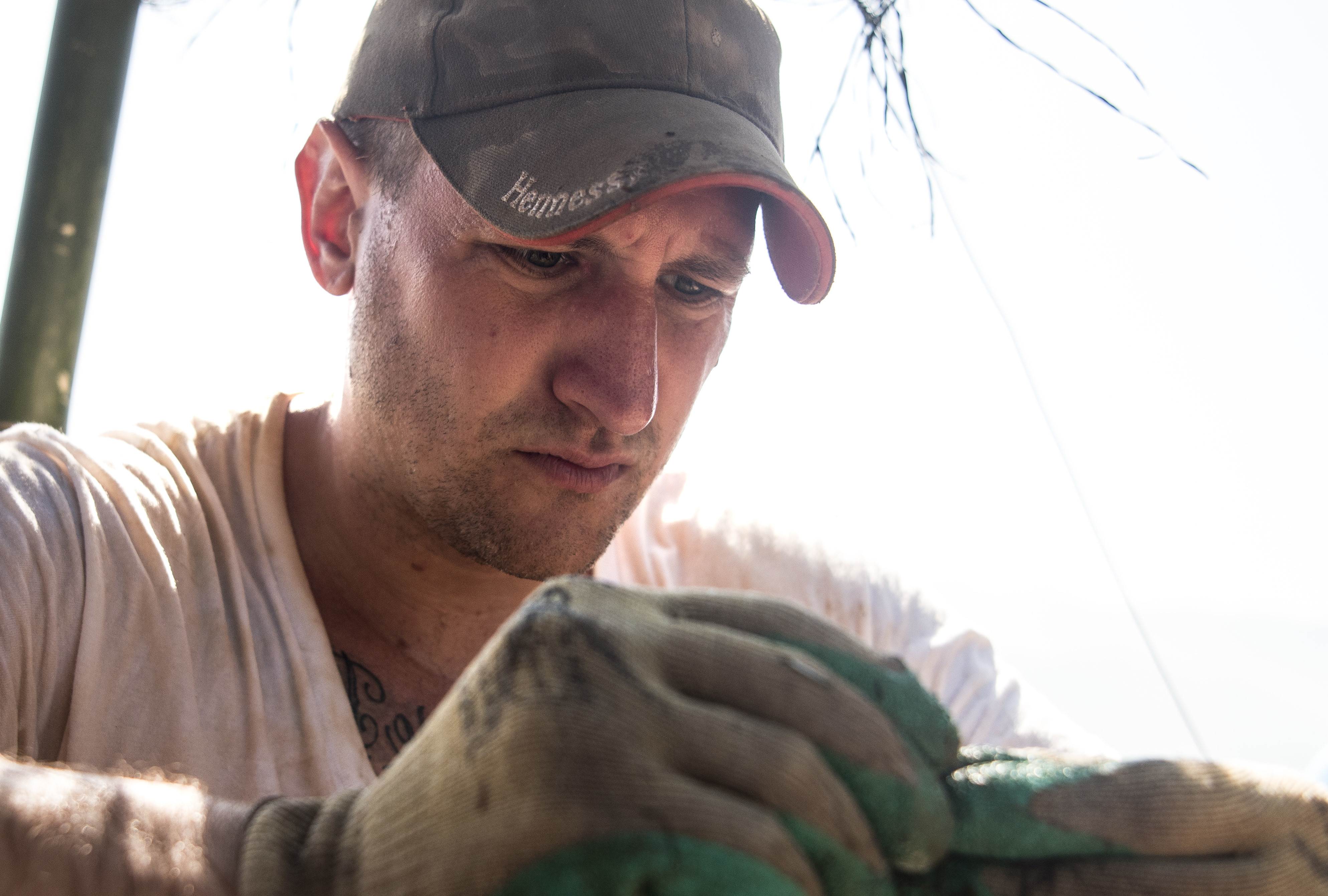 From Computer Science Student to DPAA Forensic Anthropologist > Defense ...