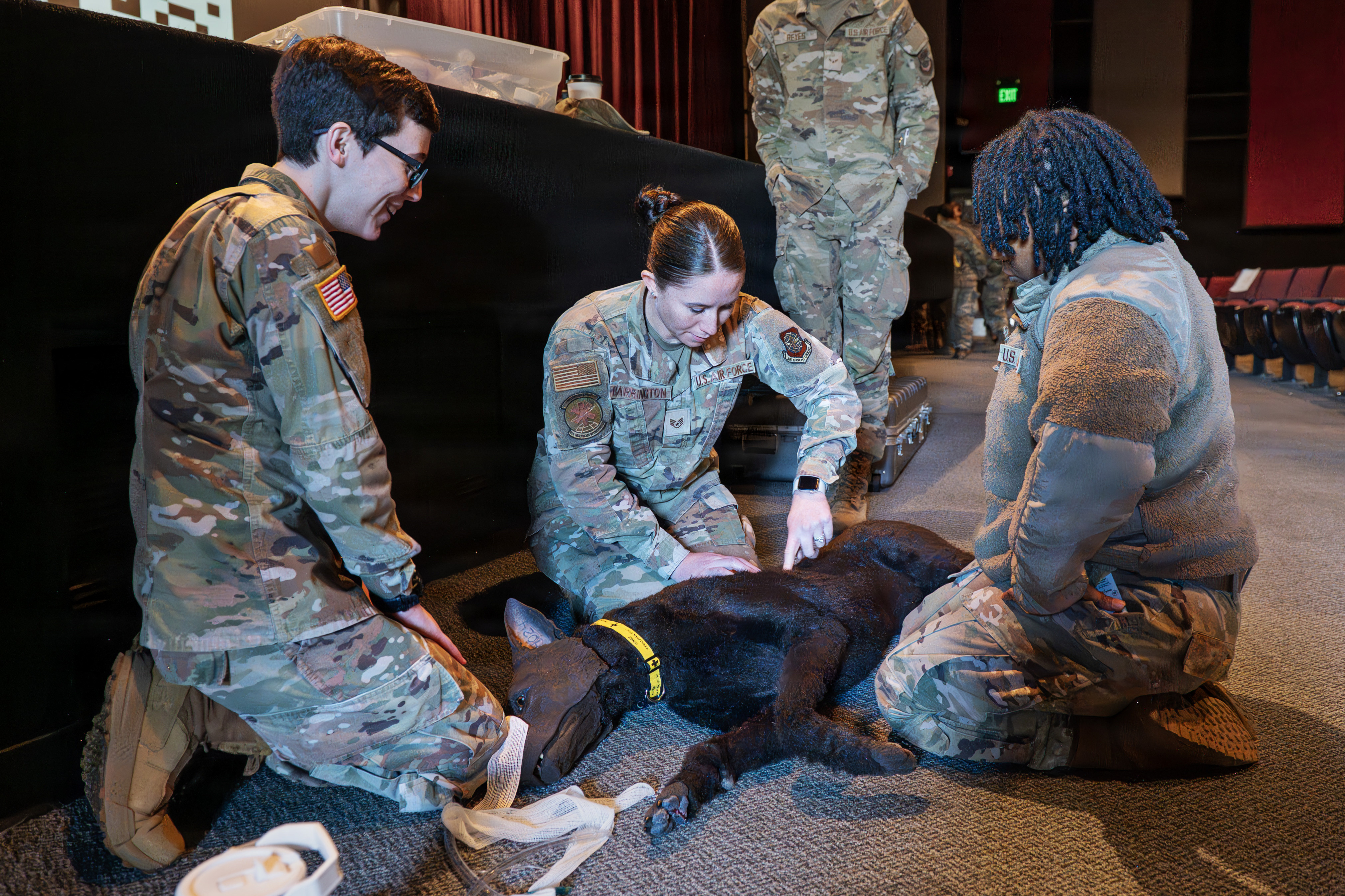 Fairchild AFB enhances medical readiness with K-9 Tactical Combat ...