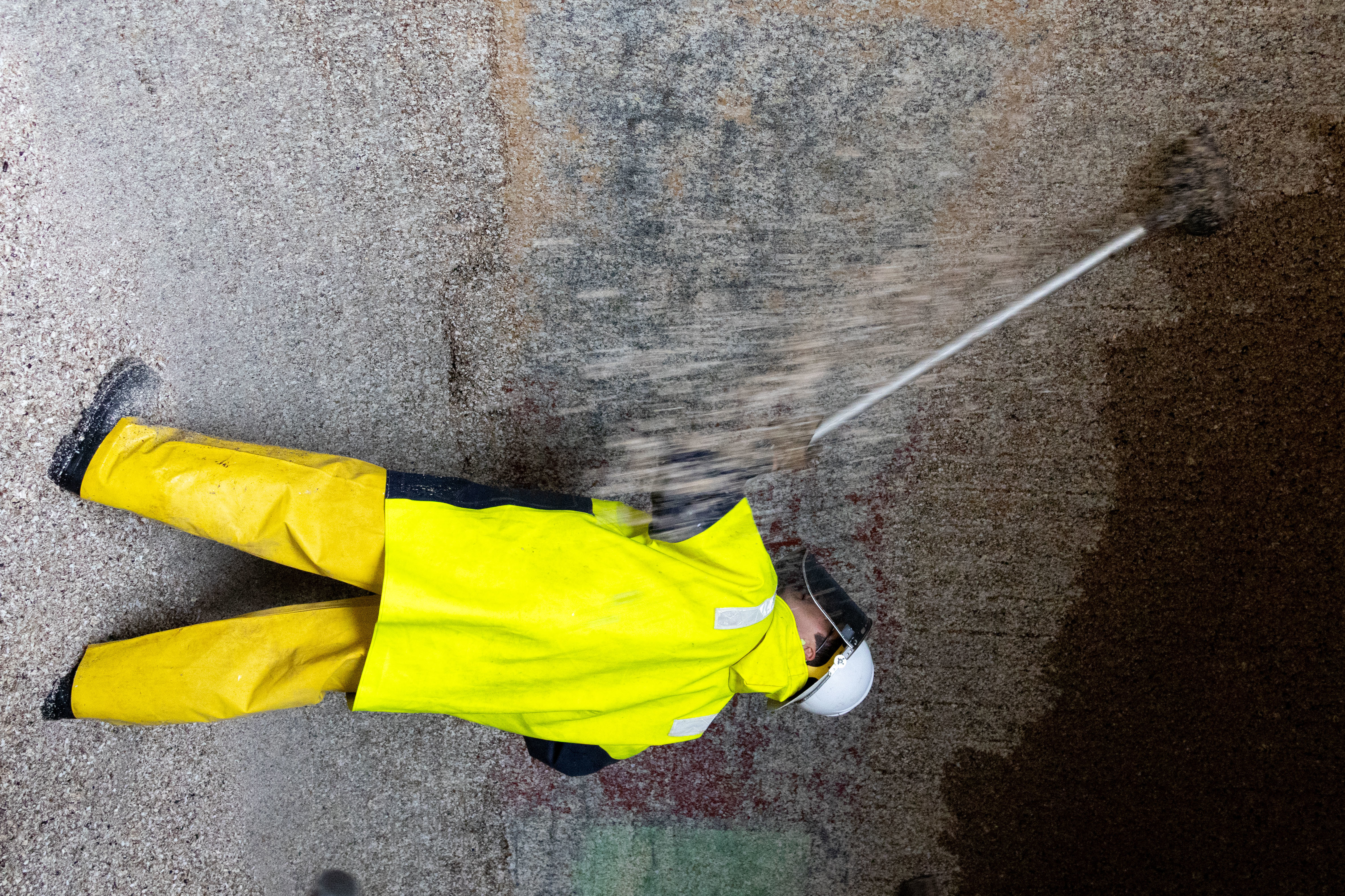 Scraping for Safe Passage: Inside the Chittenden Locks’ Annual Barnacle ...