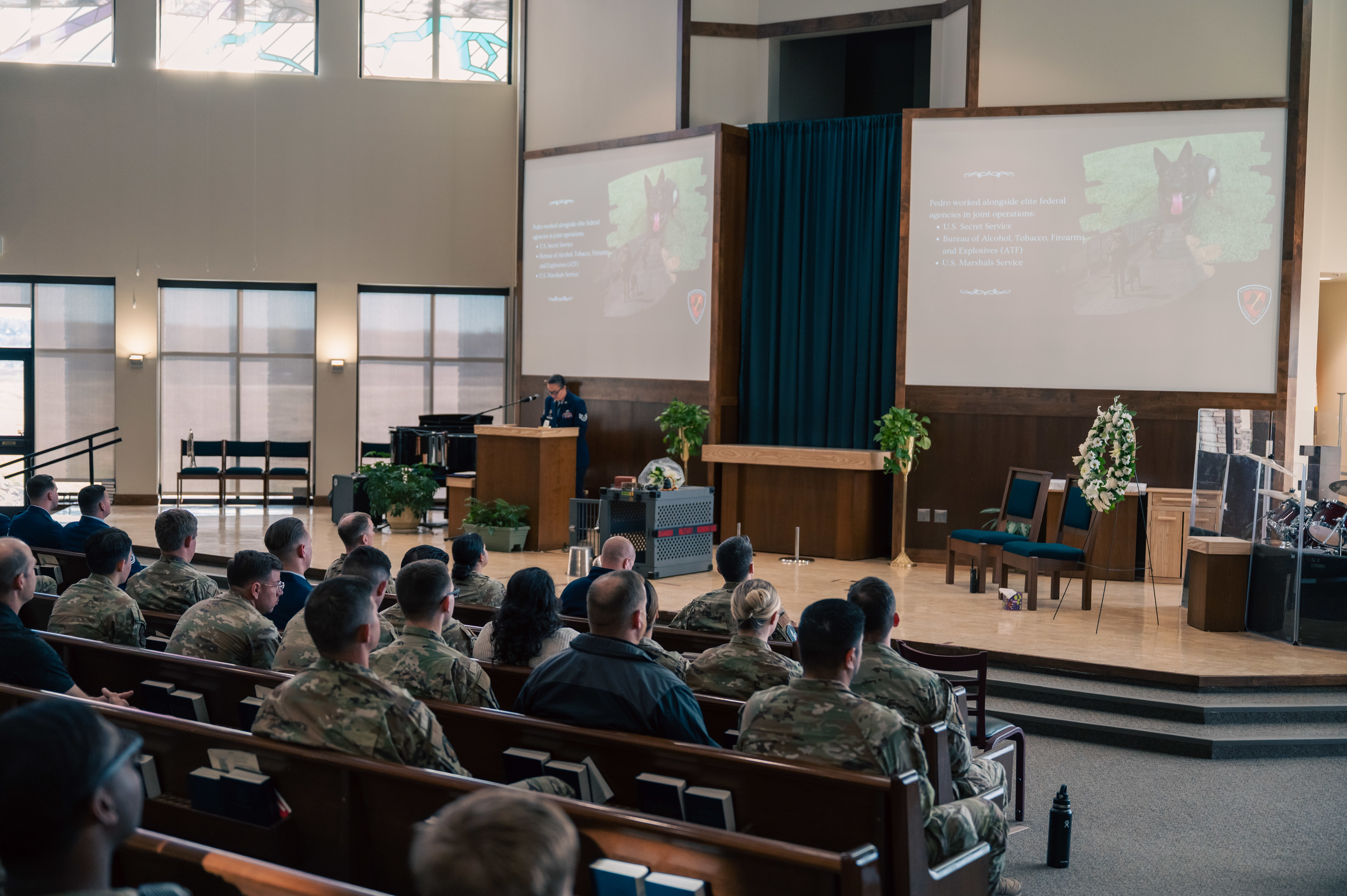 Pedro: A Legacy of Loyalty, Lethality, and Lasting Impact > Buckley ...