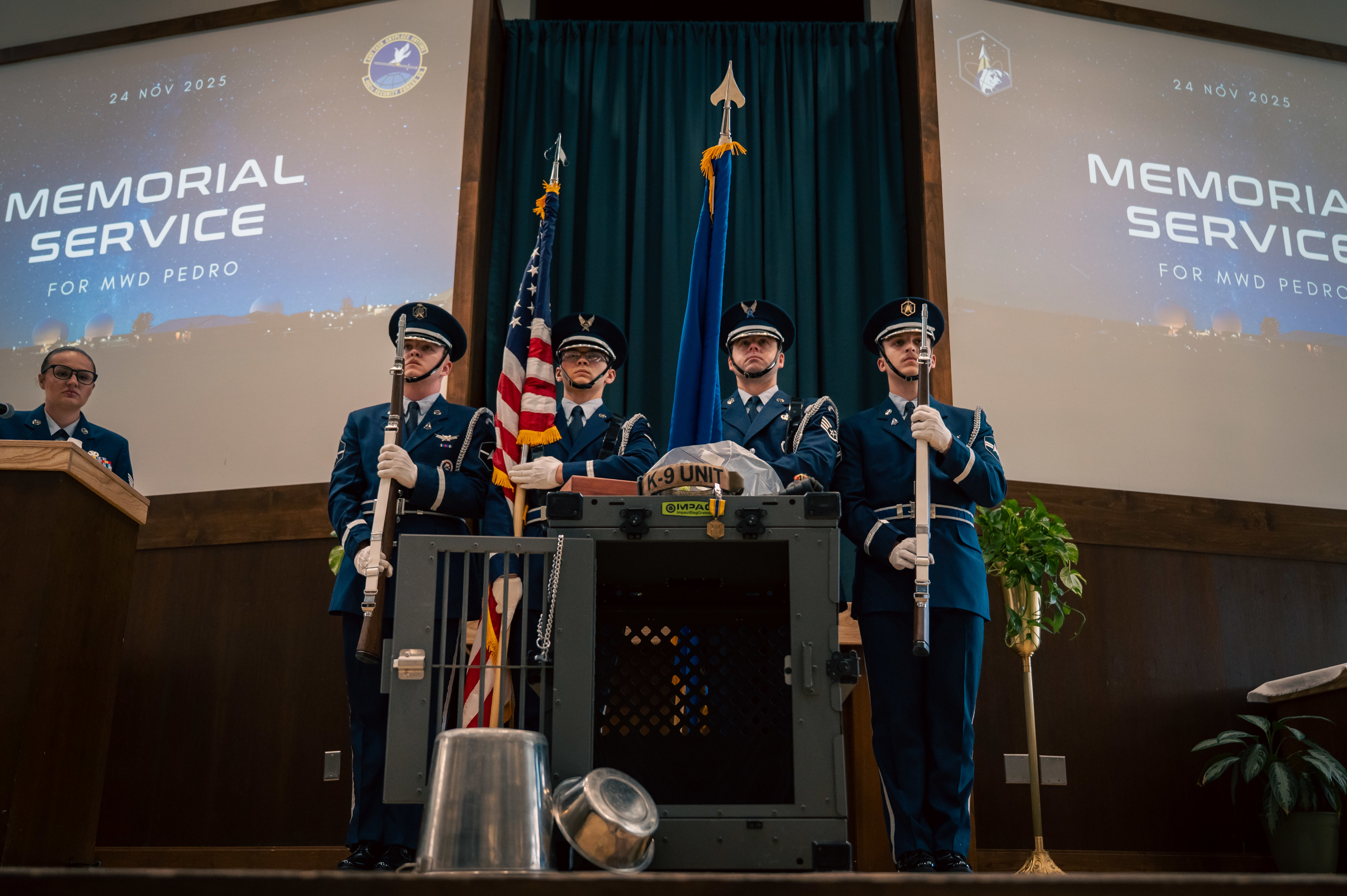 Pedro: A Legacy of Loyalty, Lethality, and Lasting Impact > Buckley ...