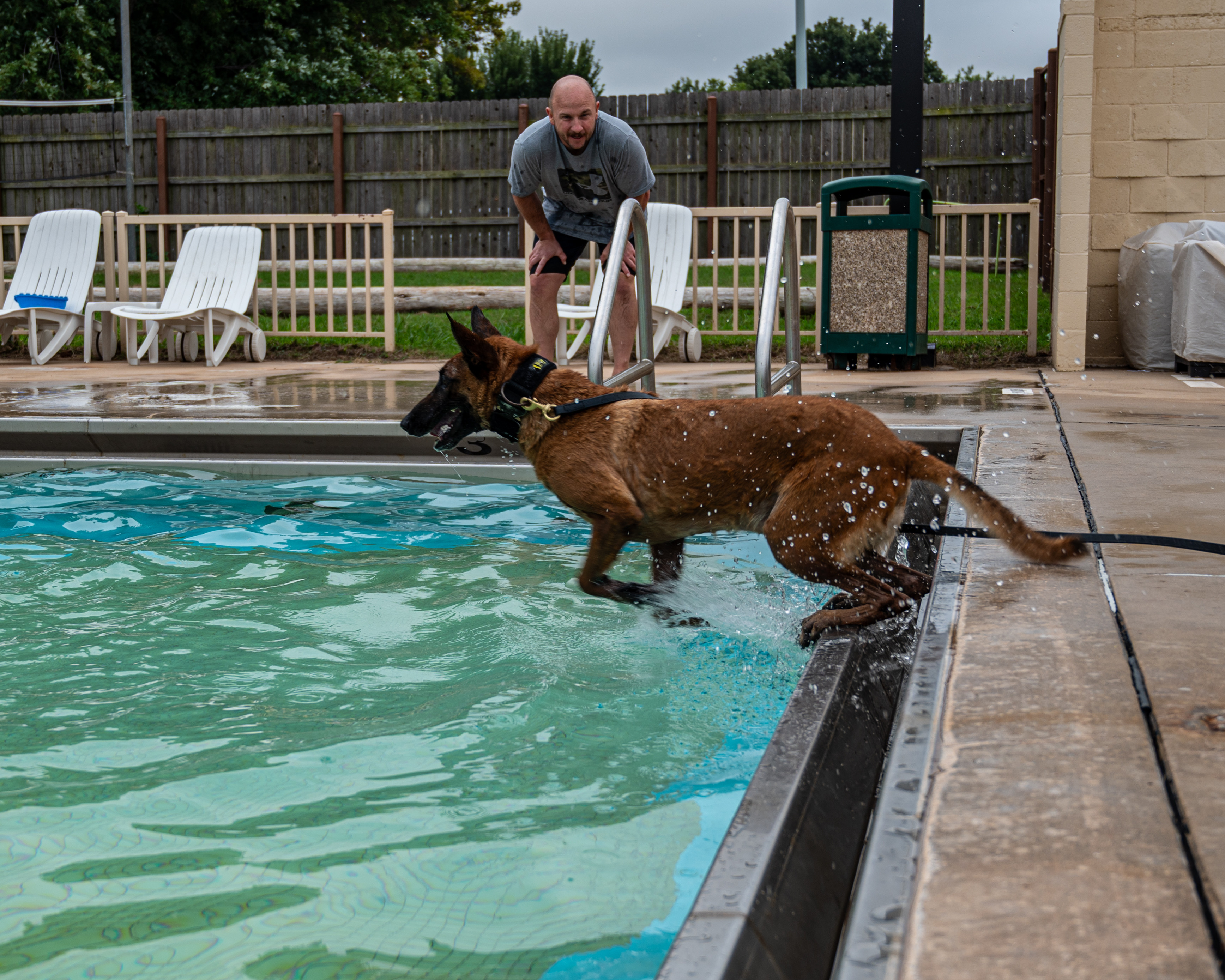 Military Working Dogs Test Bite in Water > Tinker Air Force Base ...