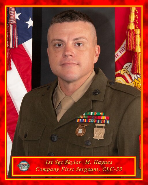 First Sergeant Skylor M. Haynes > 3d Marine Logistics Group > Leader's bio