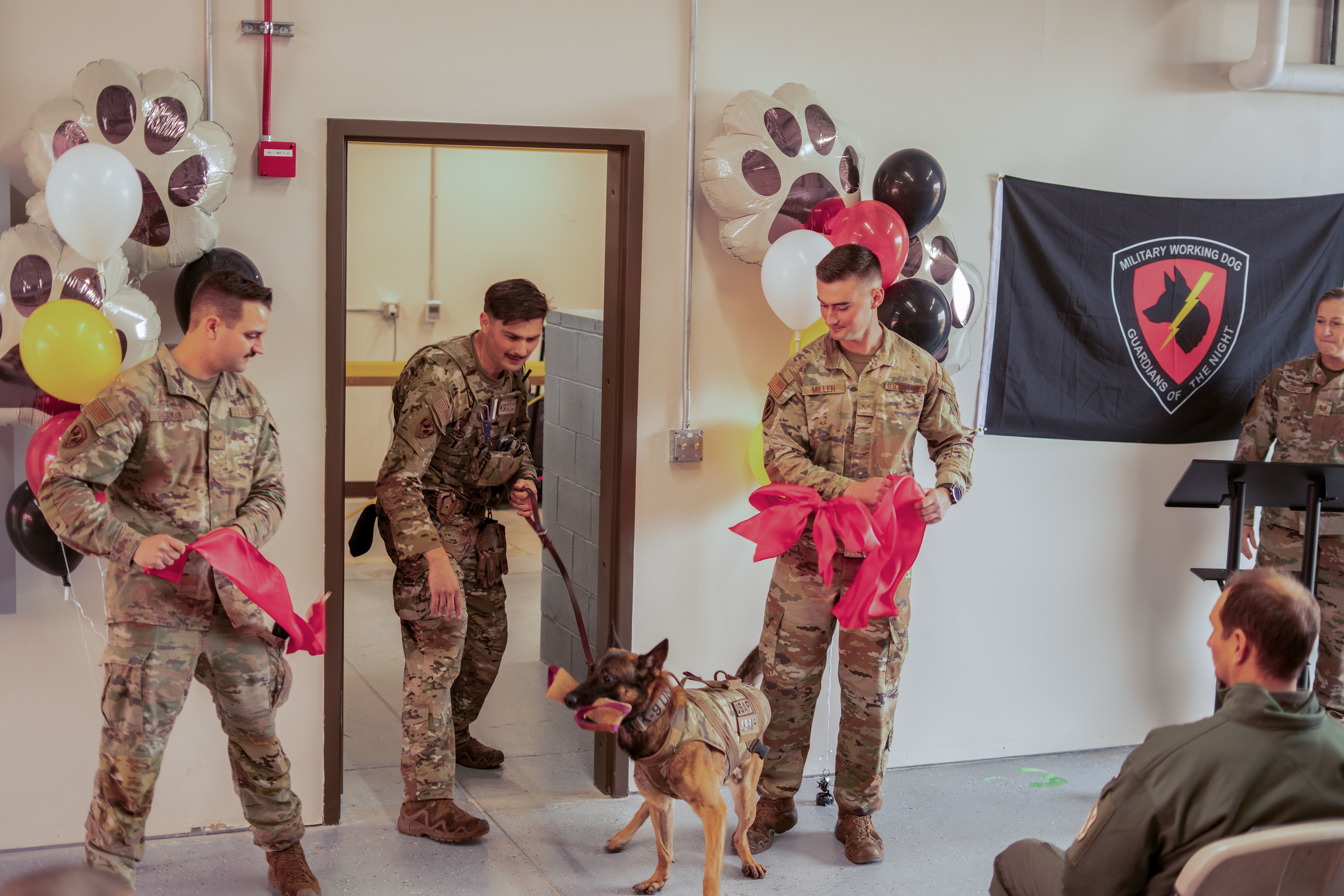 Military Working Dog Kennels reopen after two years > Eielson Air Force ...