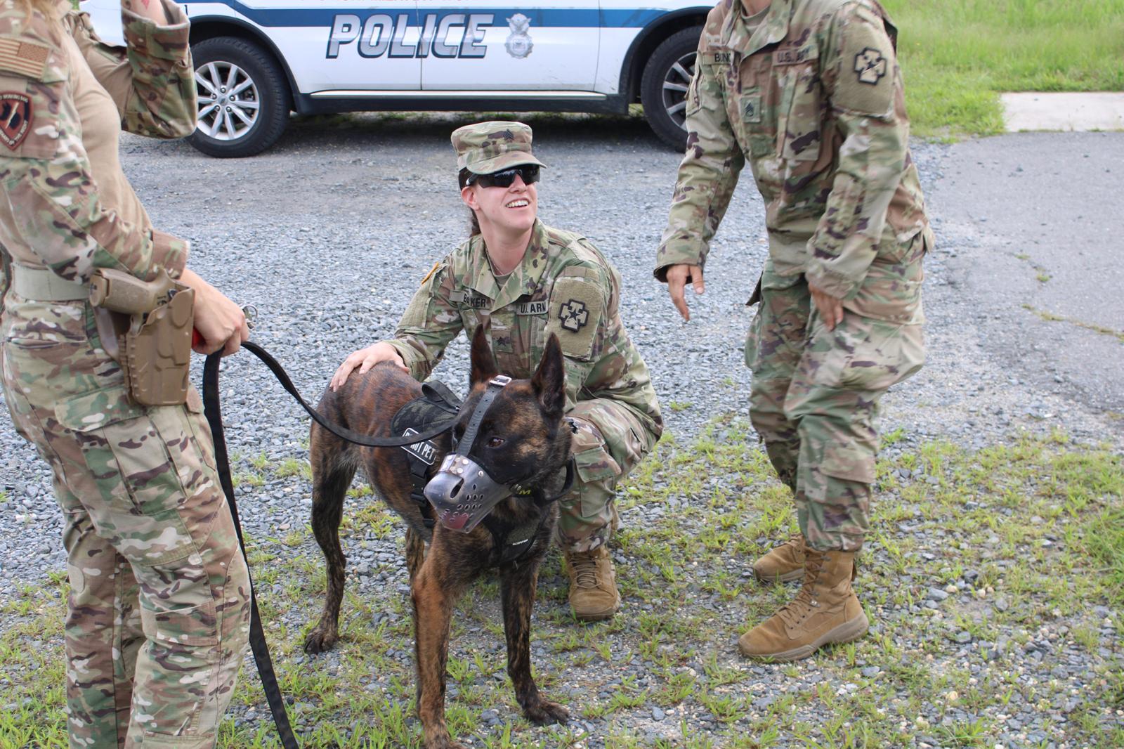 Building soldiering skills: How a veterinary detachment trains for ...