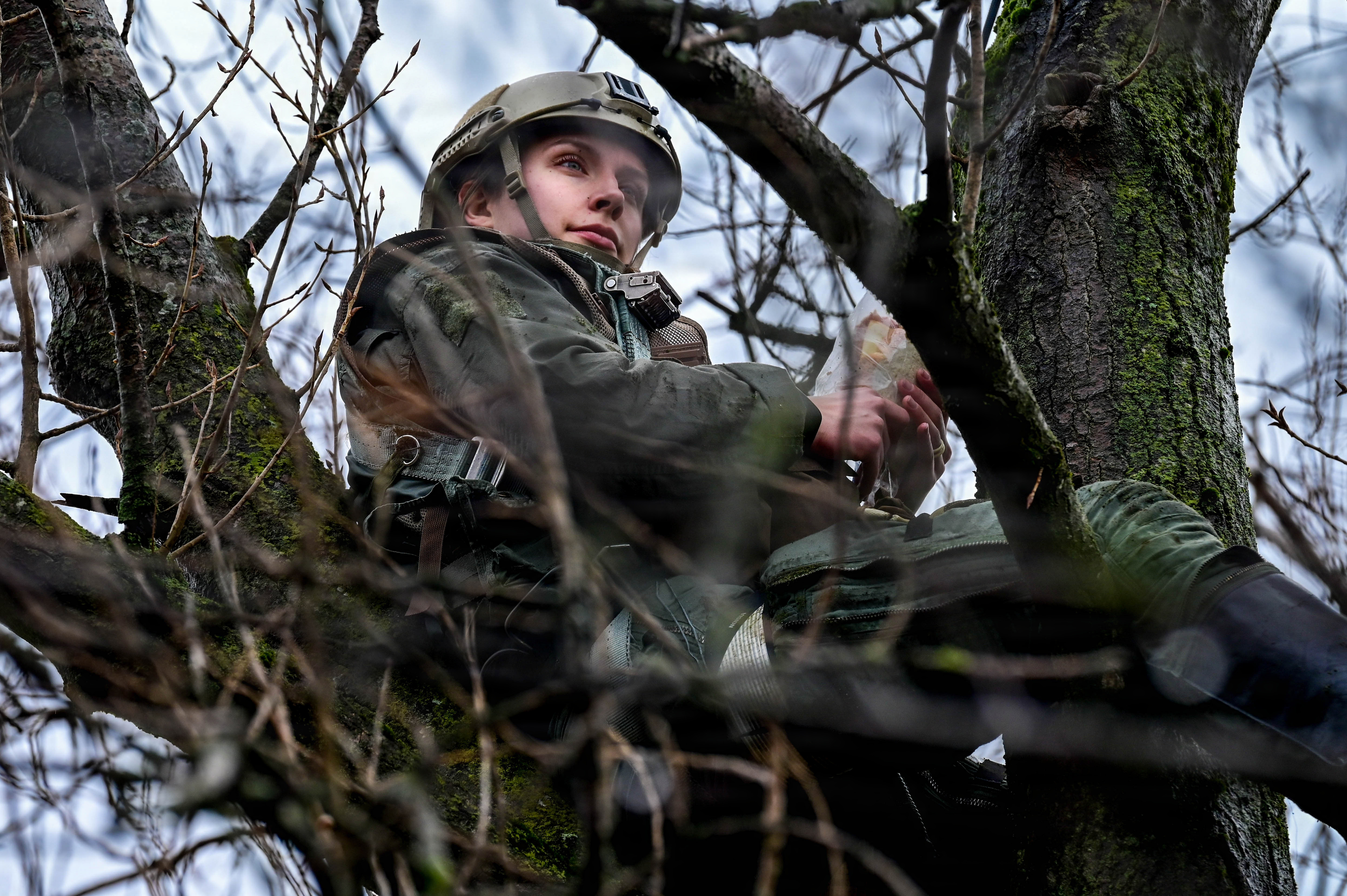 31st Operations Group War Day > Aviano Air Base > Display