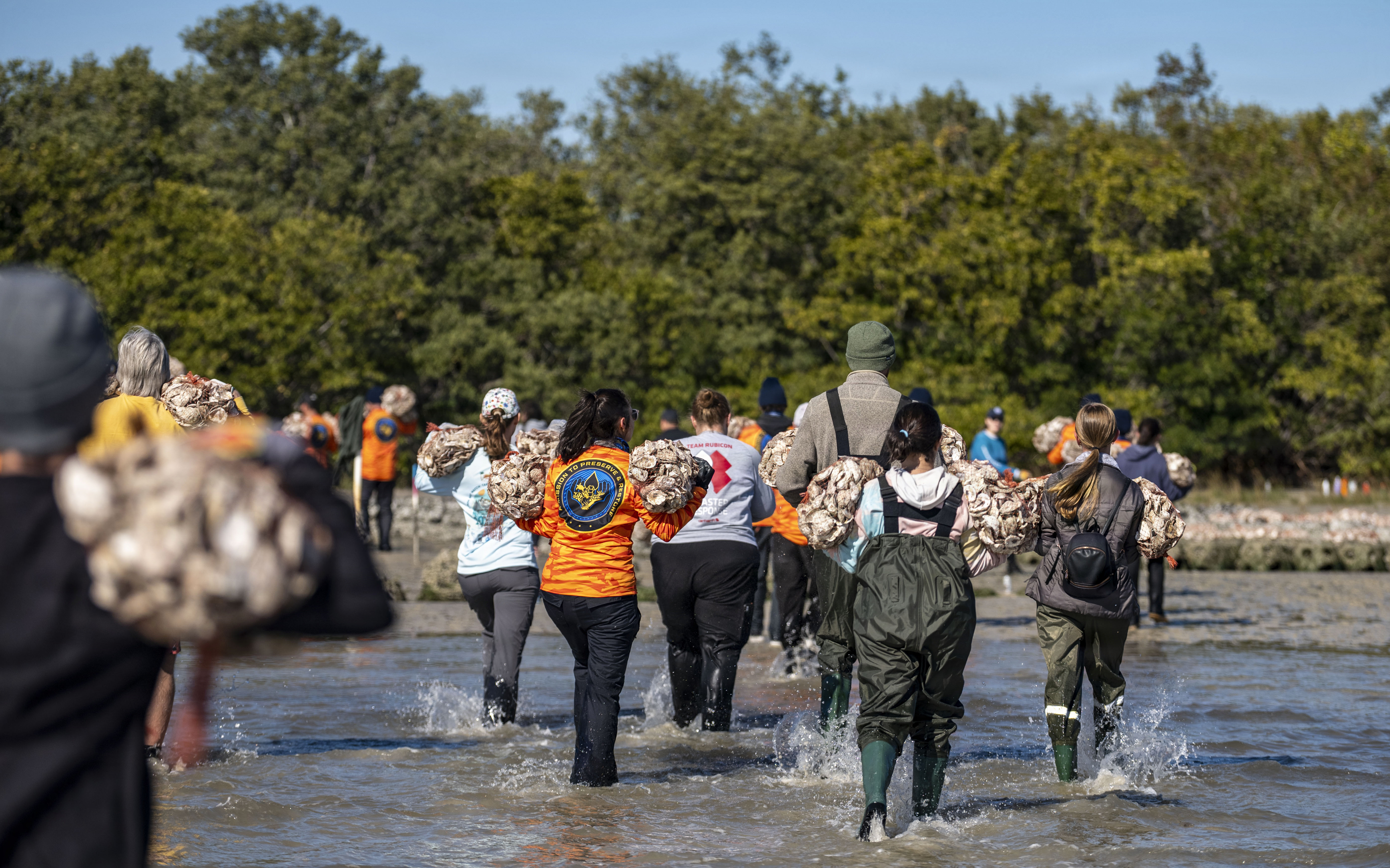 Community partners support the MacDill Living Shoreline Project ...