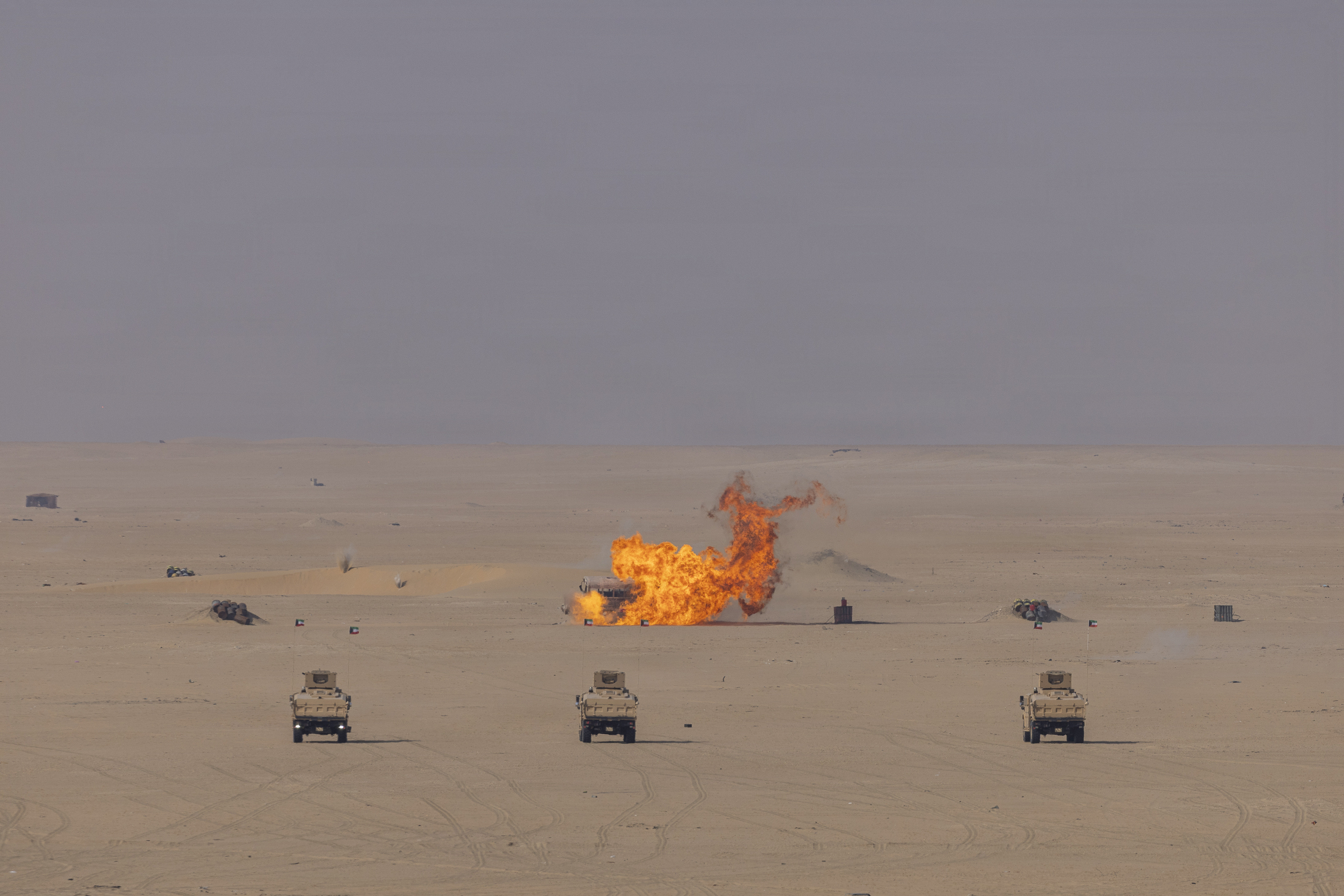 Task Force Shikra (3-4 AHB) participates in Exercise Sky Shield 2025