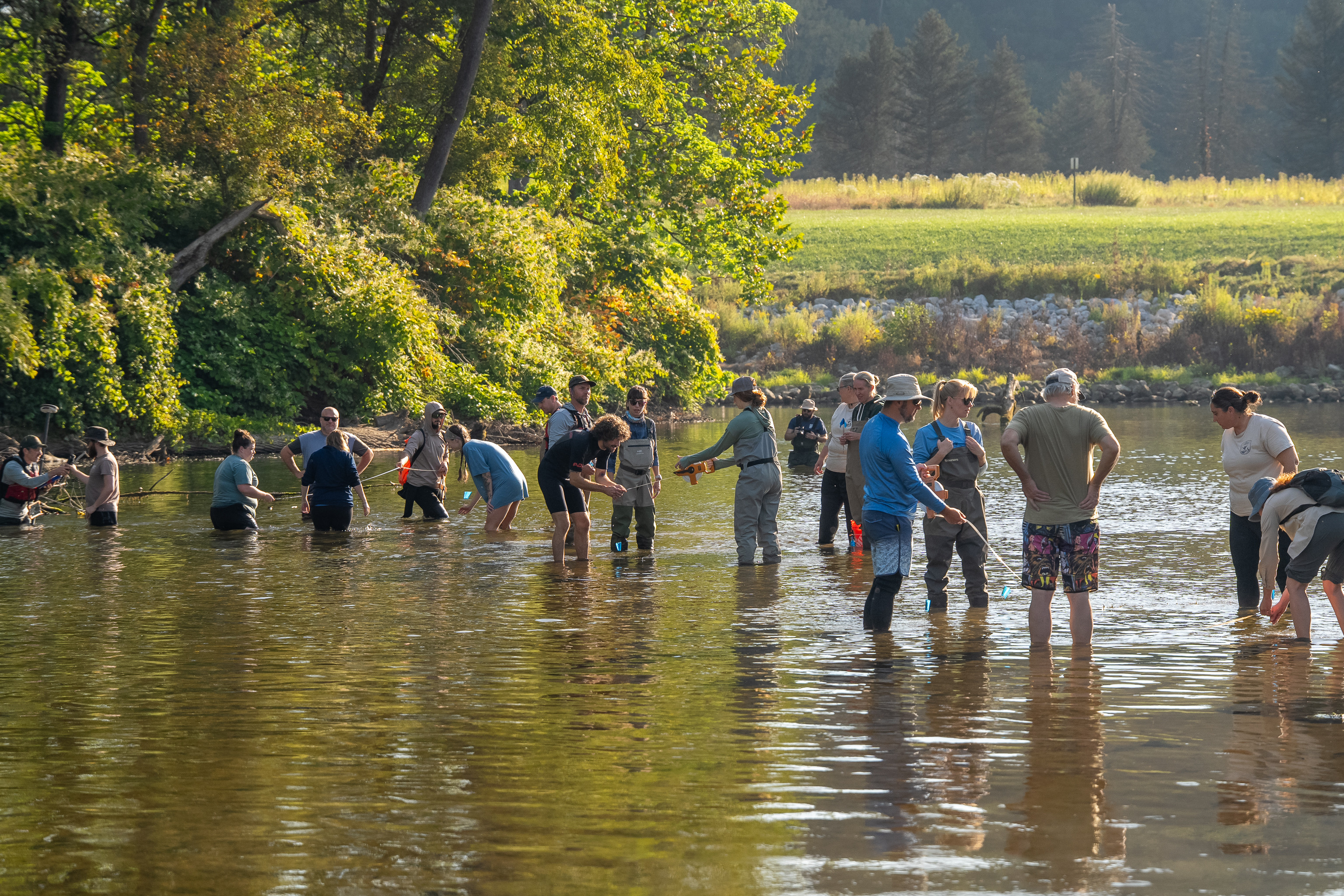Agencies Team Up to Restore Native Mussels in the Cuyahoga River ...