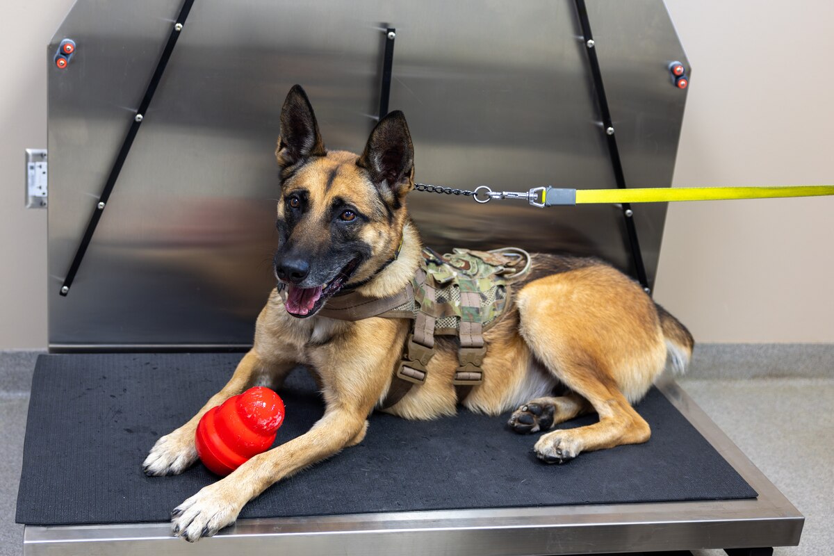 Tinker Air Force Base welcomes new Veterinarian > Tinker Air Force Base ...