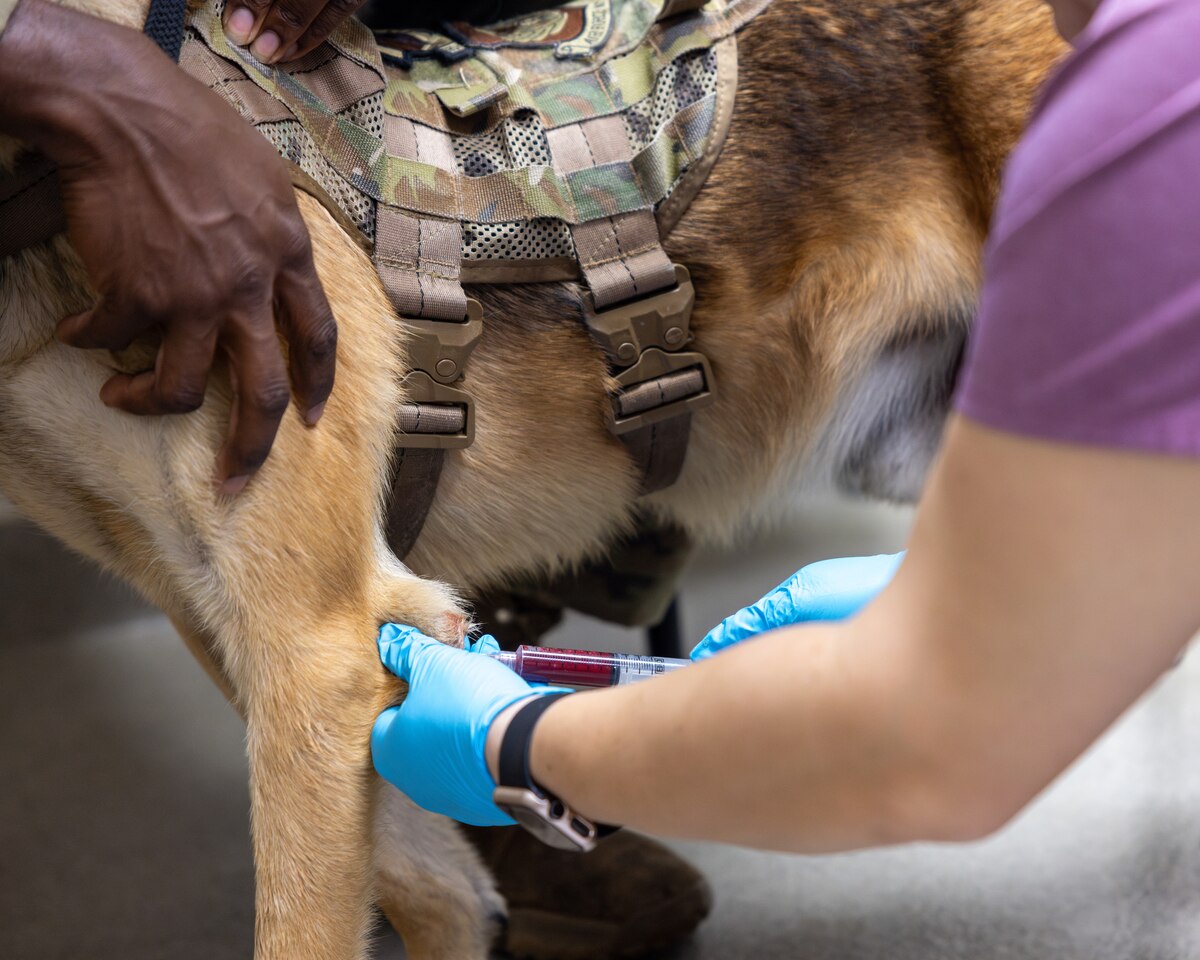 Tinker Air Force Base welcomes new Veterinarian > Tinker Air Force Base ...