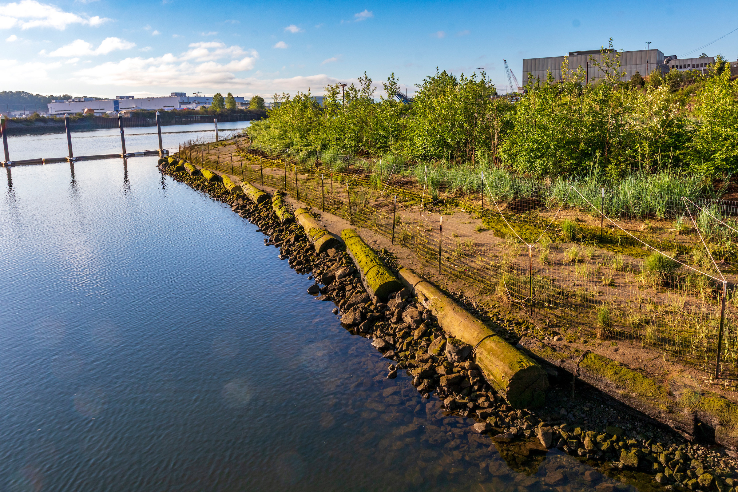 Second Life: Turning Debris into Critical River and Coastal Habitats ...