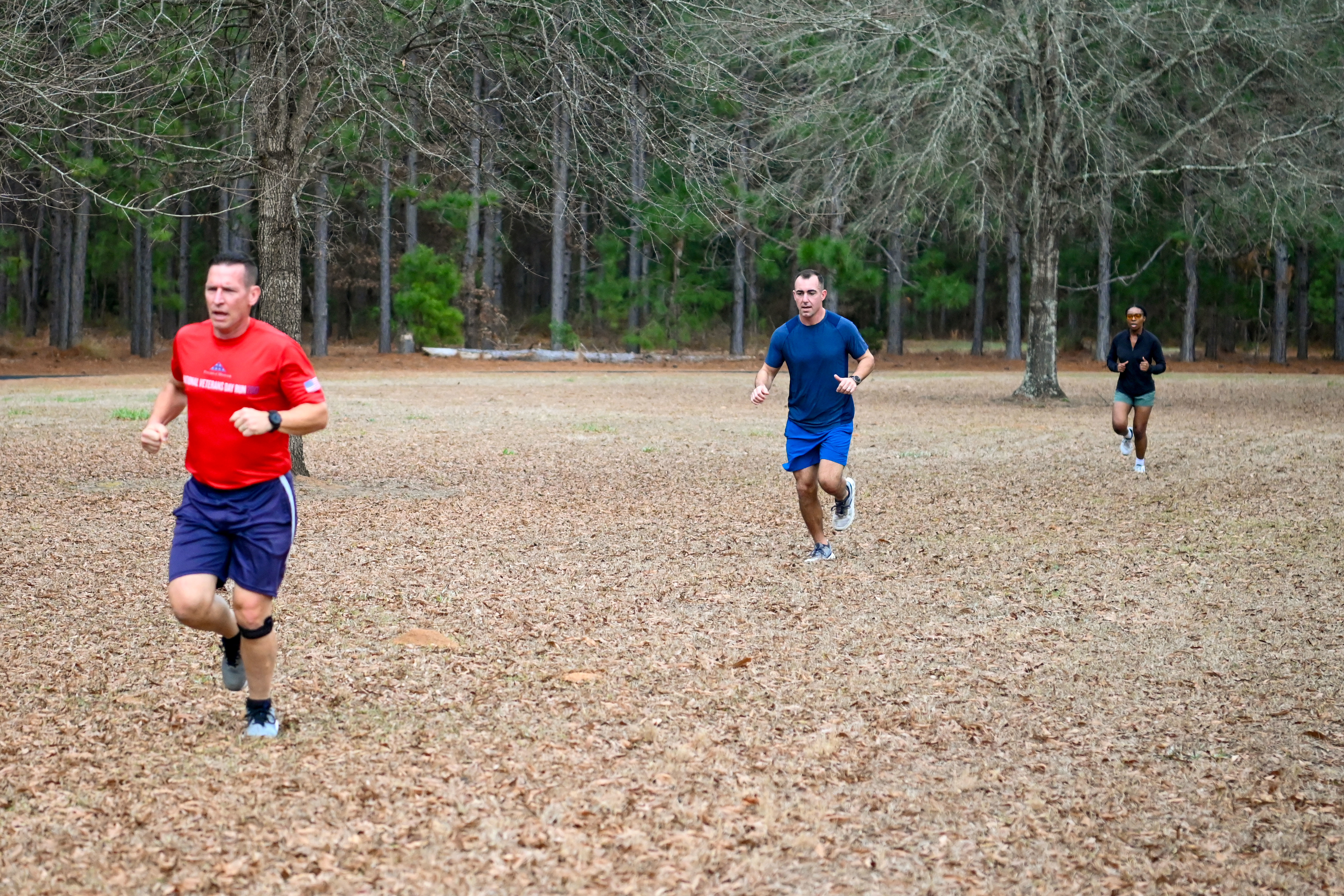 Stronger Together: Swamp Fox Diamond Corps boosts readiness and ...
