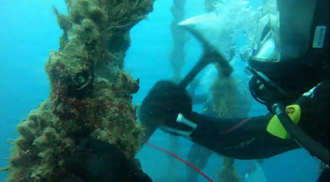 Seabees Divers Reinforce Maritime Force Protection at Naval Support ...