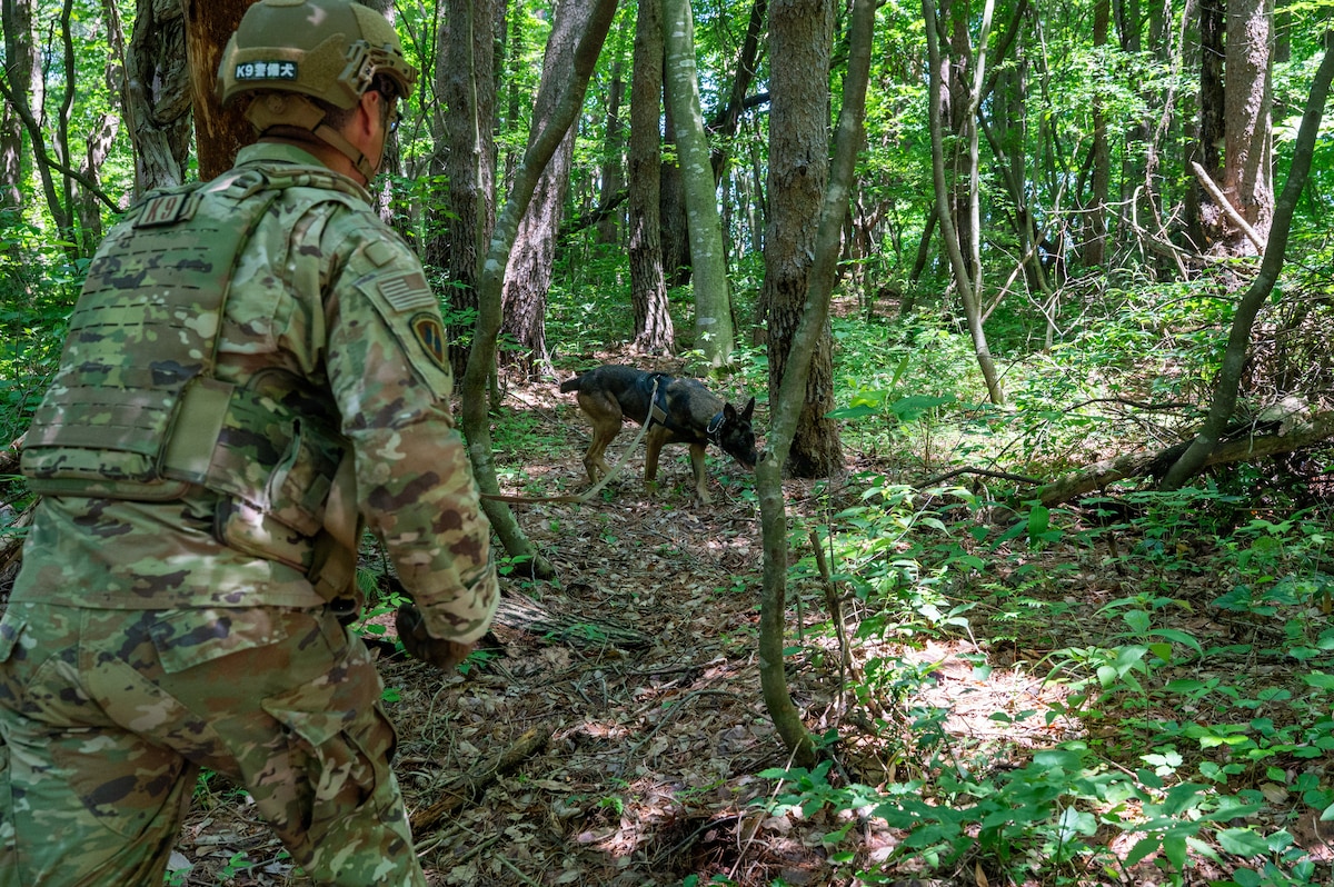 35th Security Forces Squadron strengthens military working dog ...