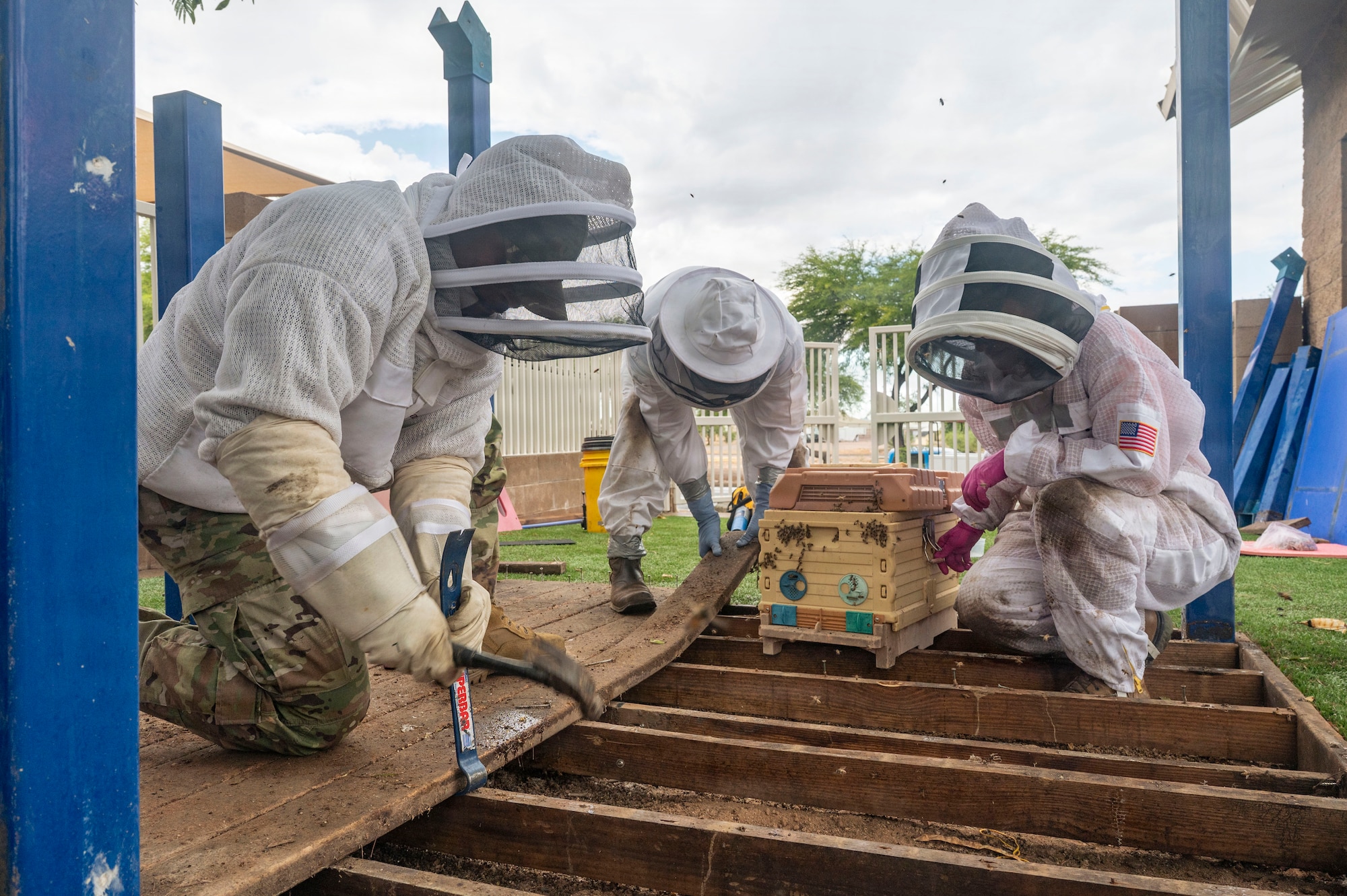 DM Airmen partner to safely relocate an Africanized bee colony > Davis ...