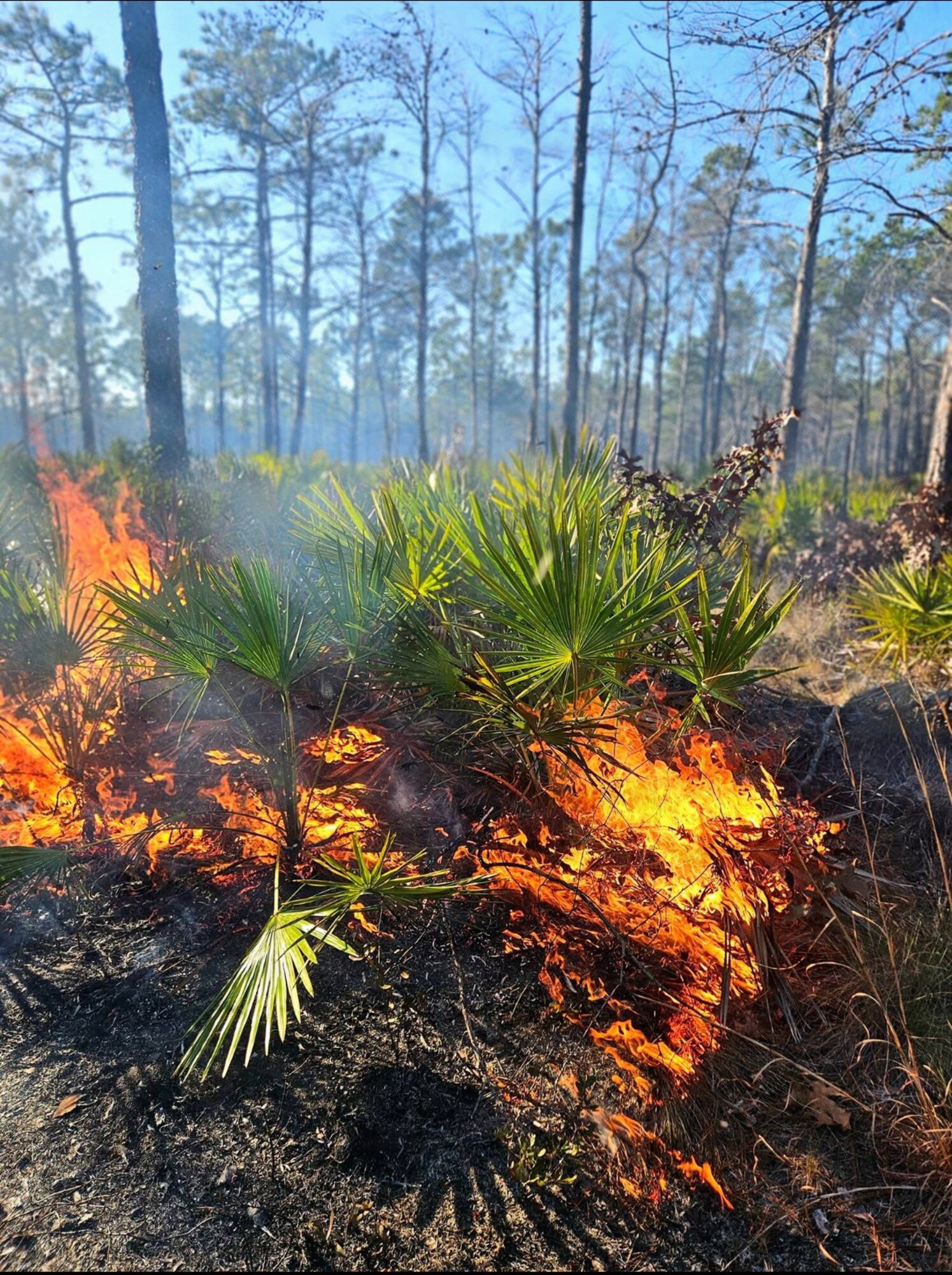 Special operators respond to winter wildfire > Eglin Air Force Base ...